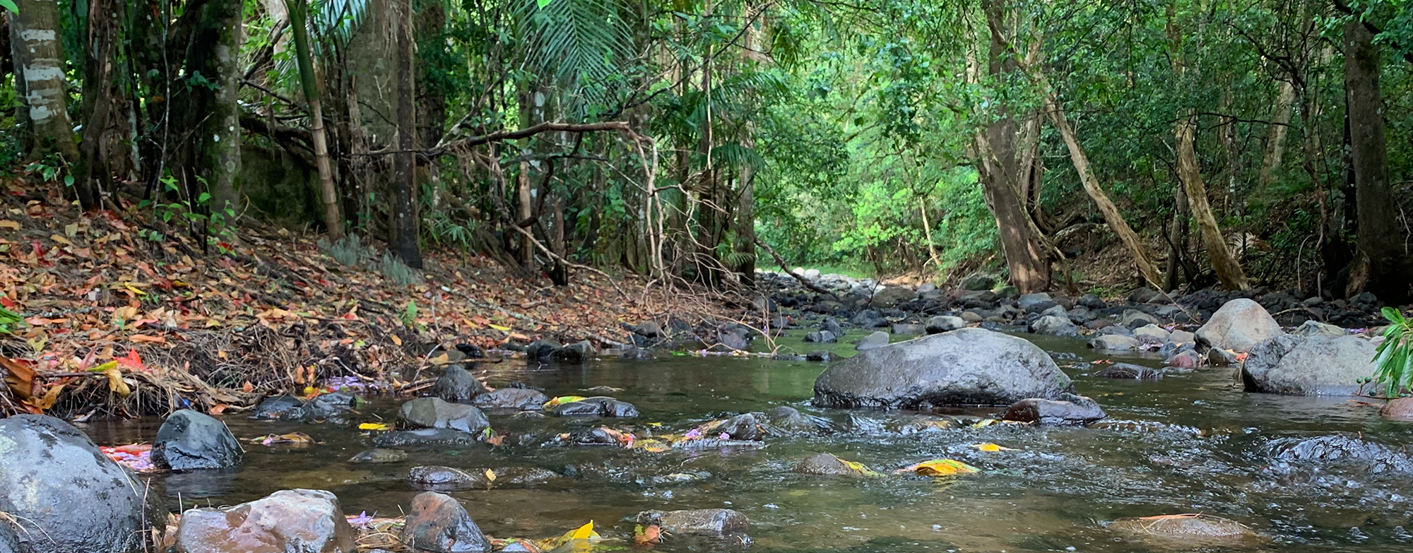 Publications - Dr John Ashfield Dr John Ashfield Publications