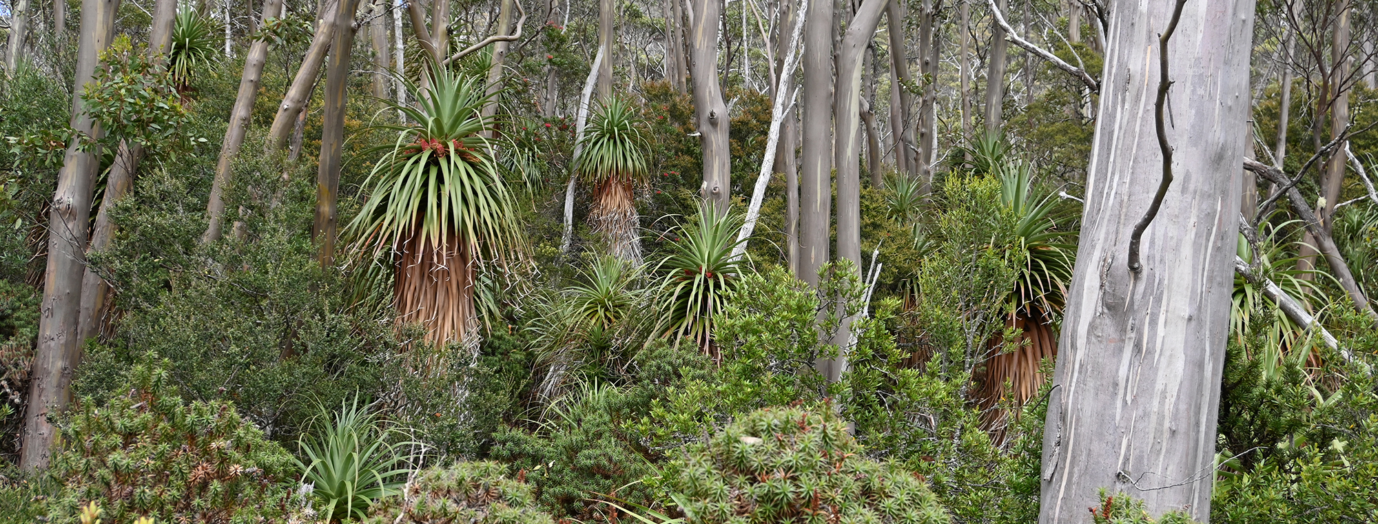 Appointments - Dr John Ashfield