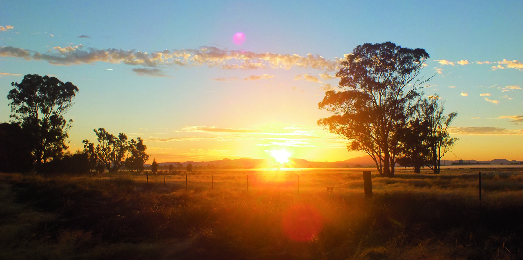 Profile - Dr John Ashfield