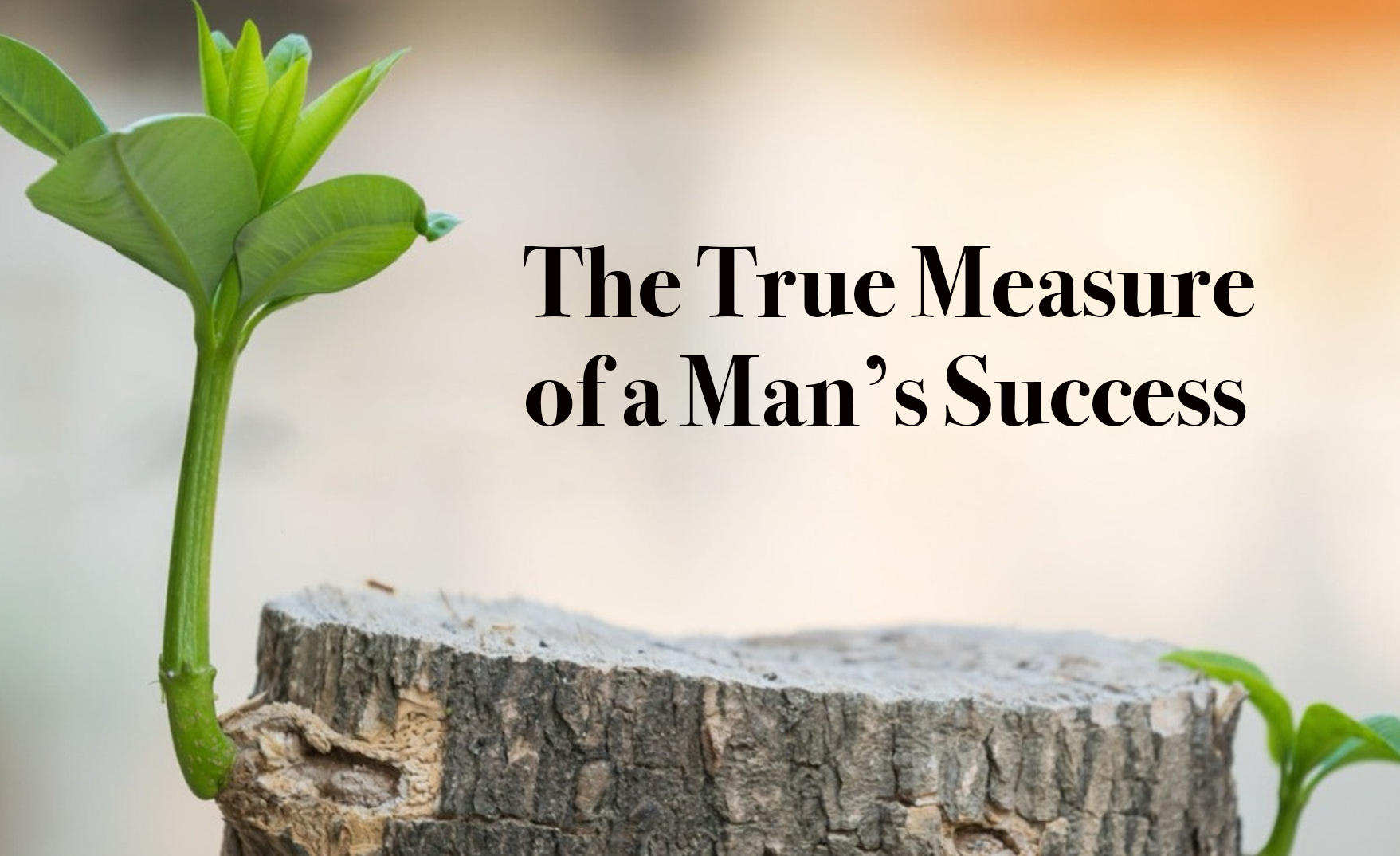 The True Measure of a Man’s Success - Dr John Ashfield Measure of Success